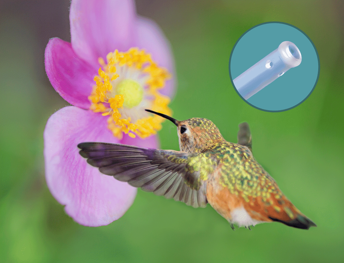 Gentle Precision: Atraumatic Suction for Delicate Procedures